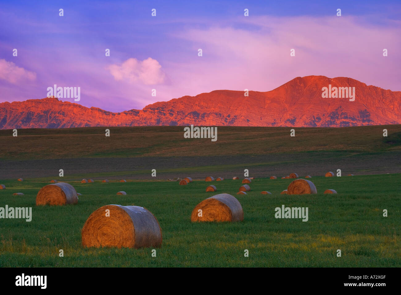 Foothill expanse hi-res stock photography and images - Alamy