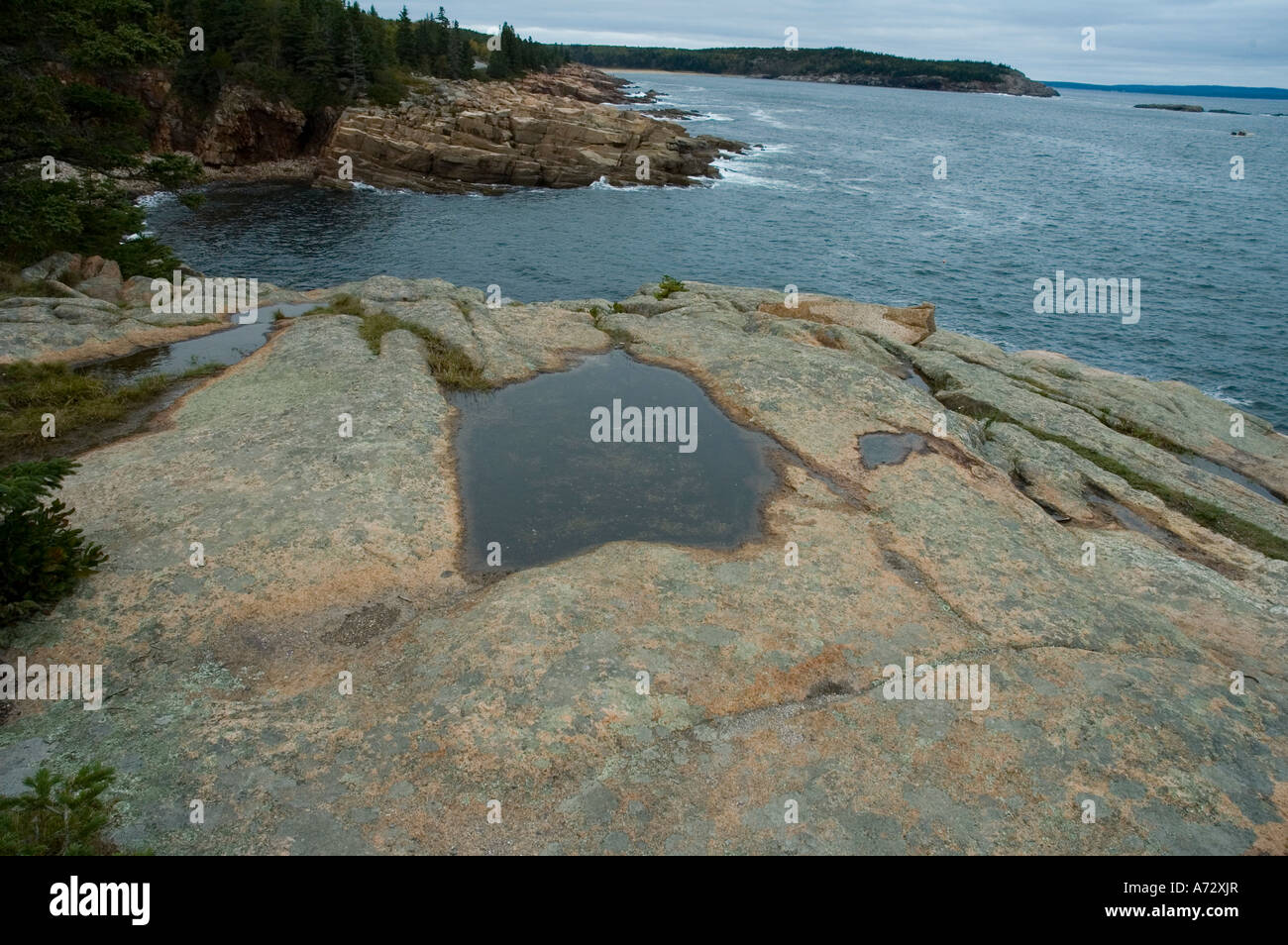 Mount Desert Island Rocky Shoreline Acadia Nat Park ME Stock Photo - Alamy
