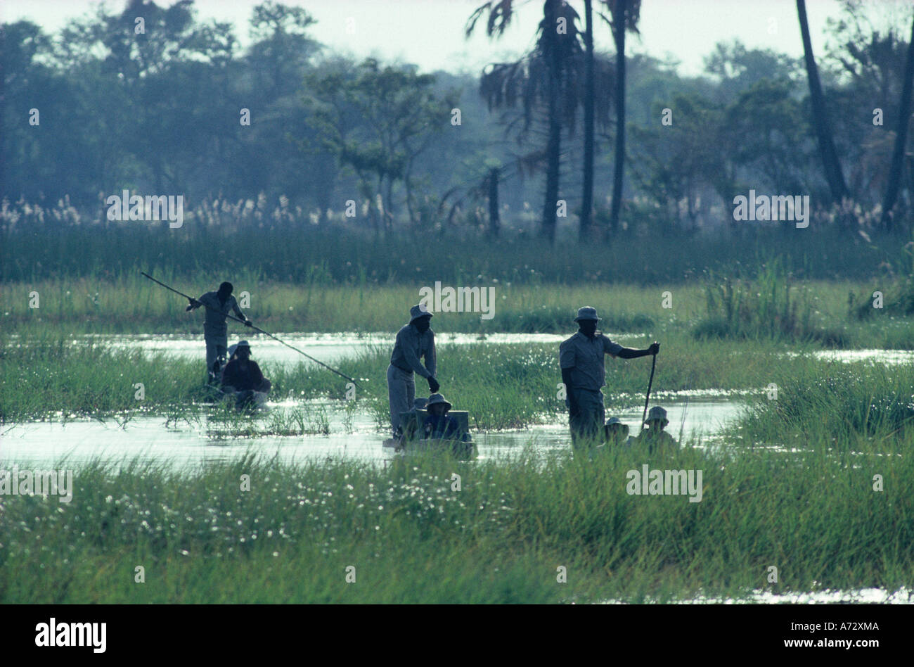 Polers High Resolution Stock Photography and Images - Alamy