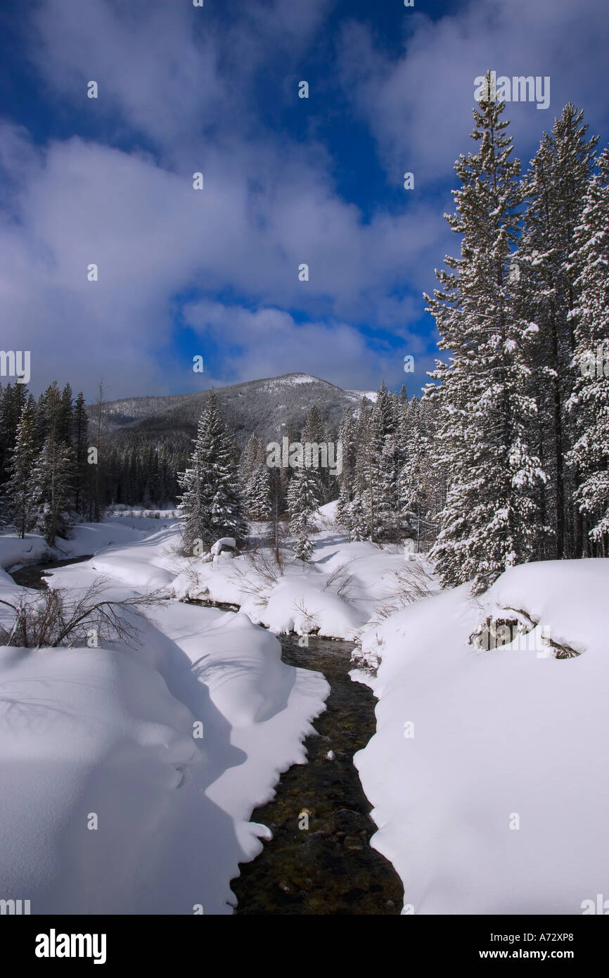 Flathead creek valley hi-res stock photography and images - Alamy