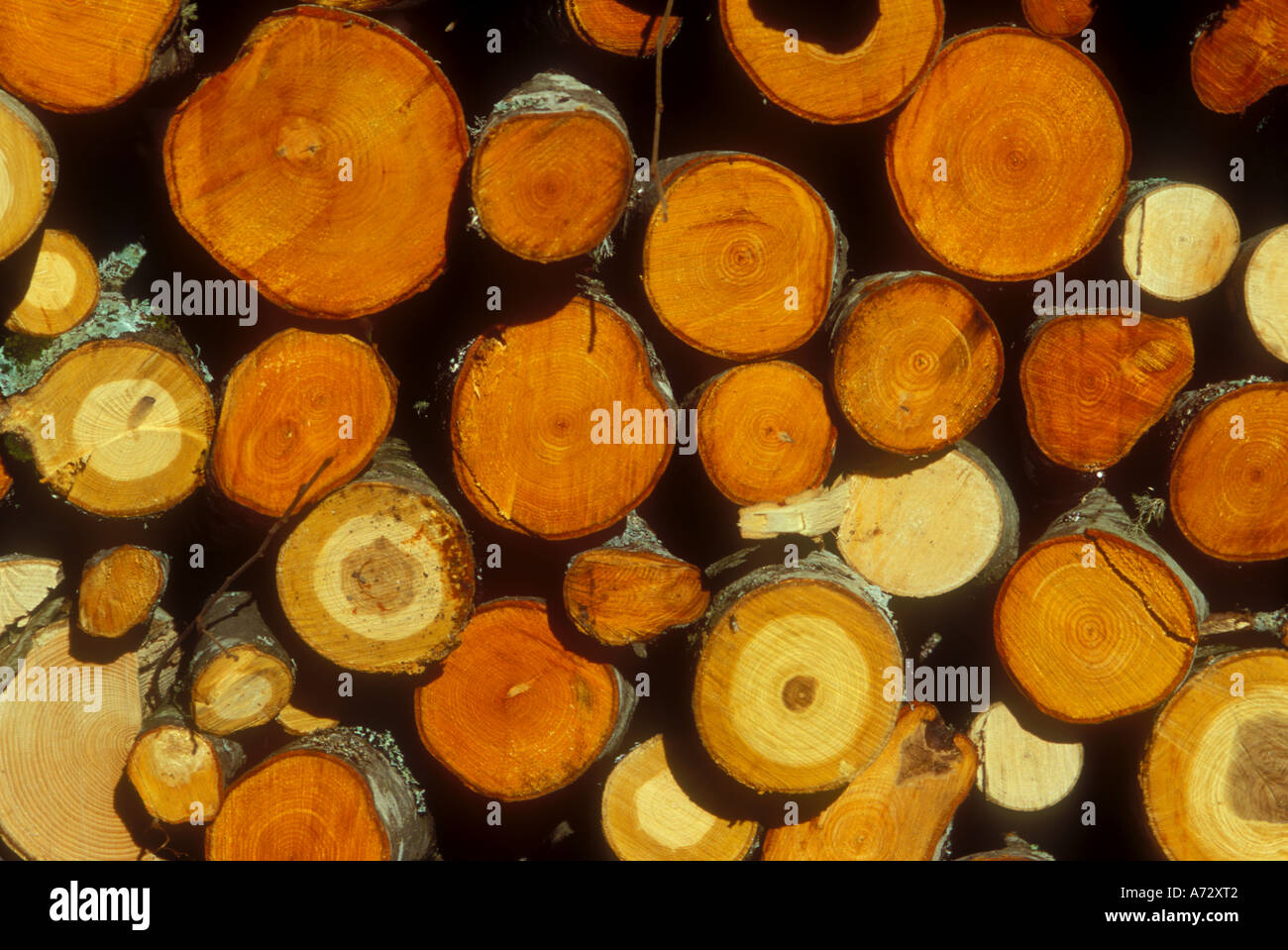 Stack of wood logs ready for burning Stock Photo - Alamy