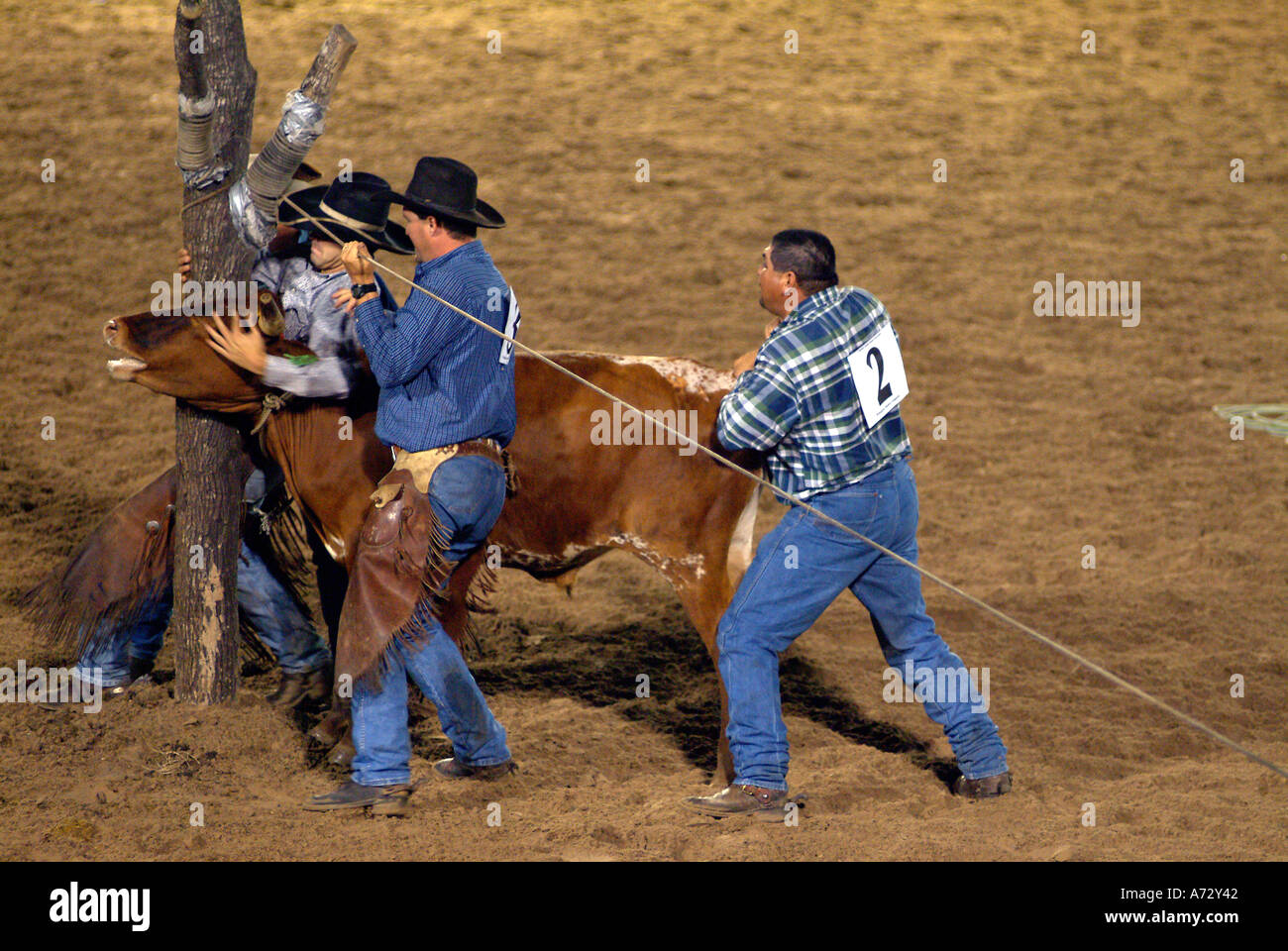 Cowboys Texan rodeo in Bandera Texas Stock Photo - Alamy