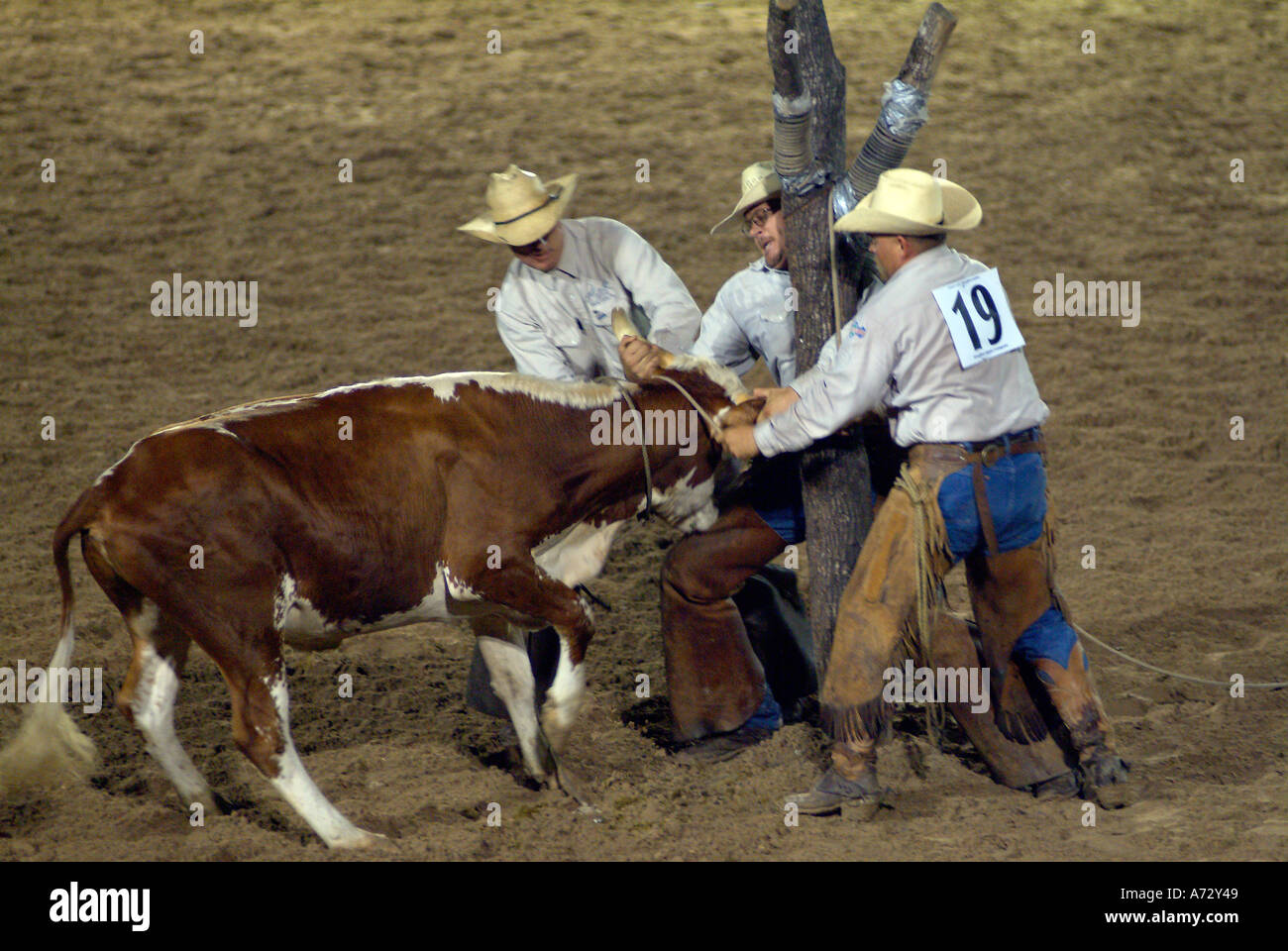Cowboys Texan rodeo in Bandera Texas Stock Photo - Alamy