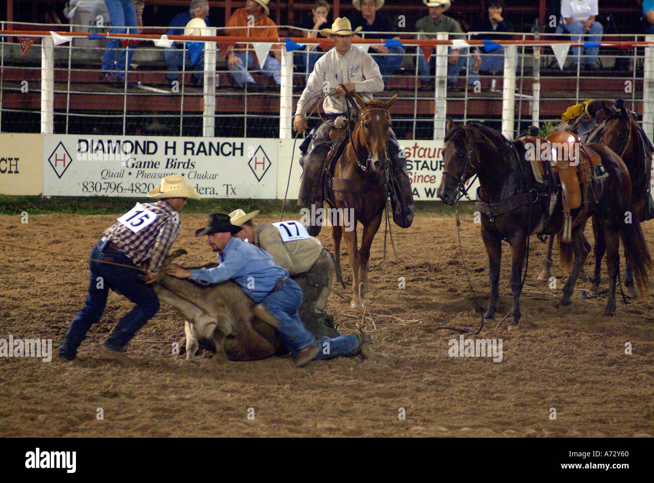 Cowboys Texan rodeo in Bandera Texas Stock Photo - Alamy