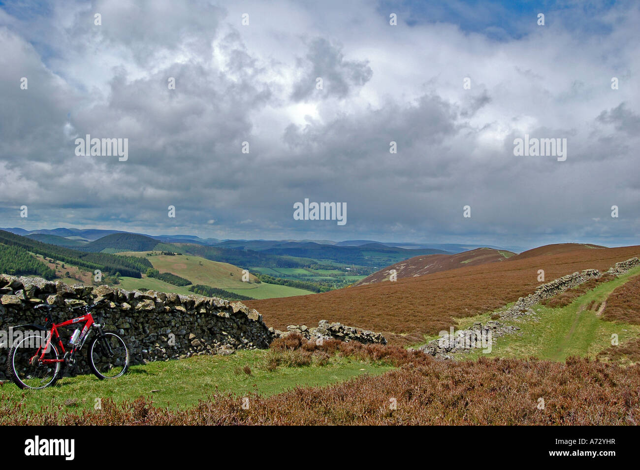 Mountain biking in Borders near Peebles Stock Photo - Alamy