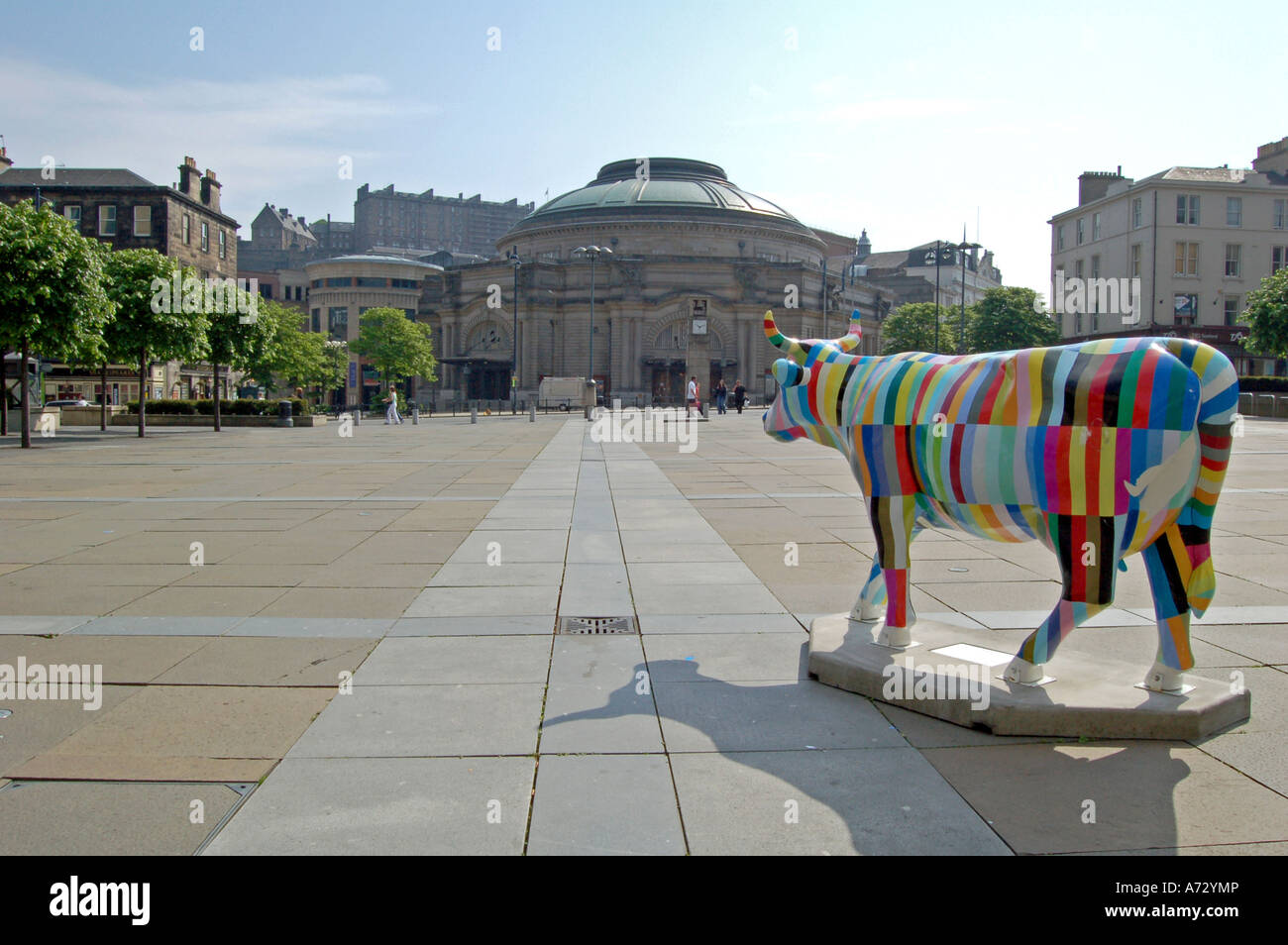 Cow parade in Festival Square, Edinburgh Stock Photo - Alamy