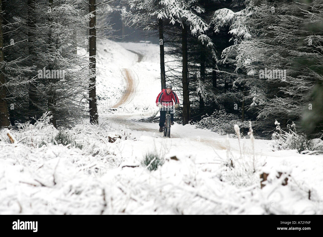 Llandegla Forest North Wales High Resolution Stock Photography and ...