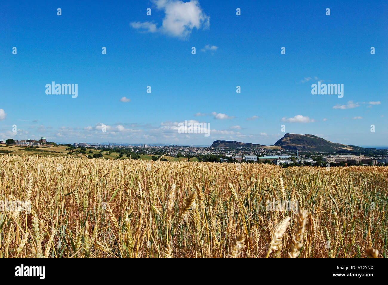 Braid hills hi-res stock photography and images - Alamy