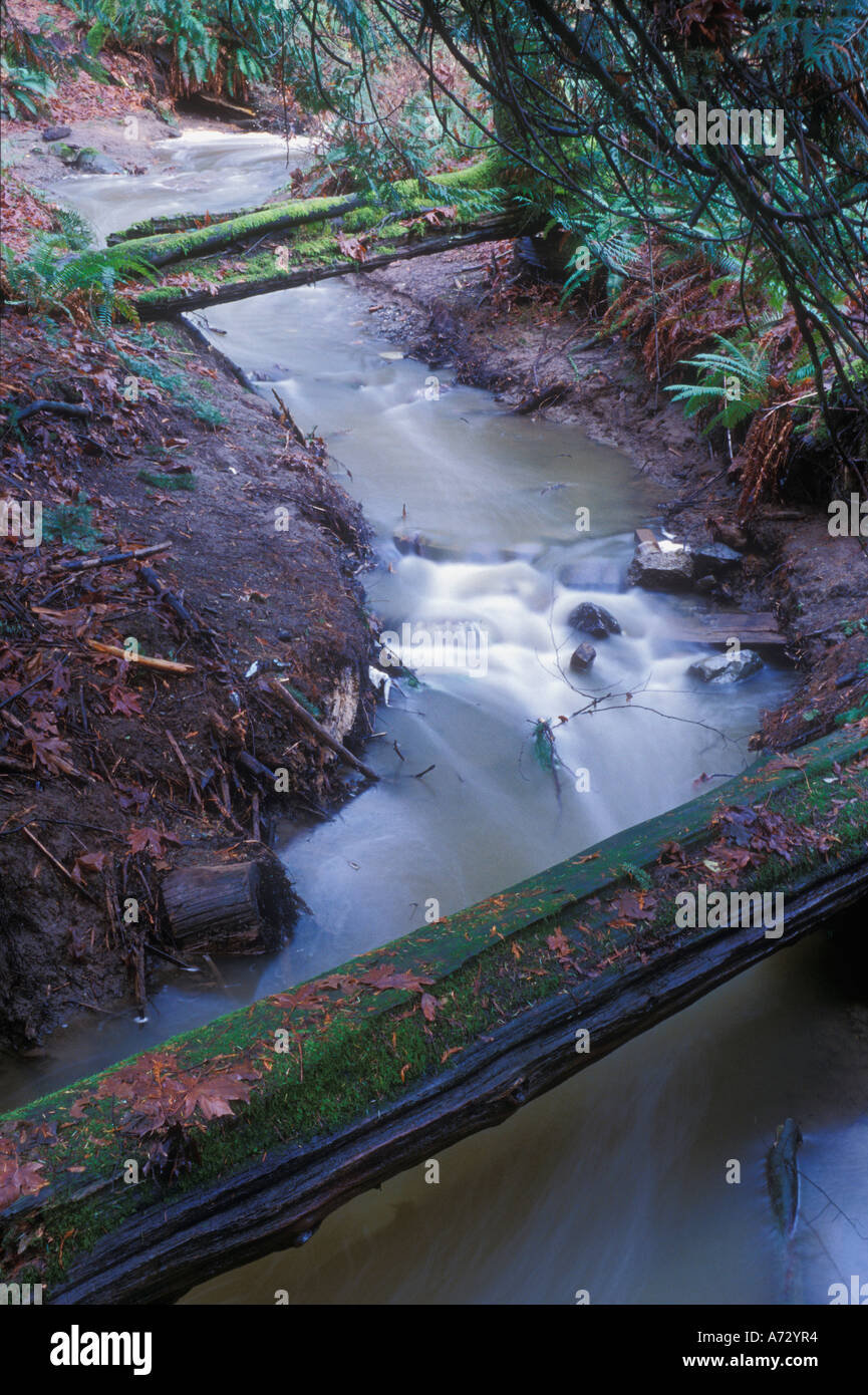 Reflective bridges hi-res stock photography and images - Alamy