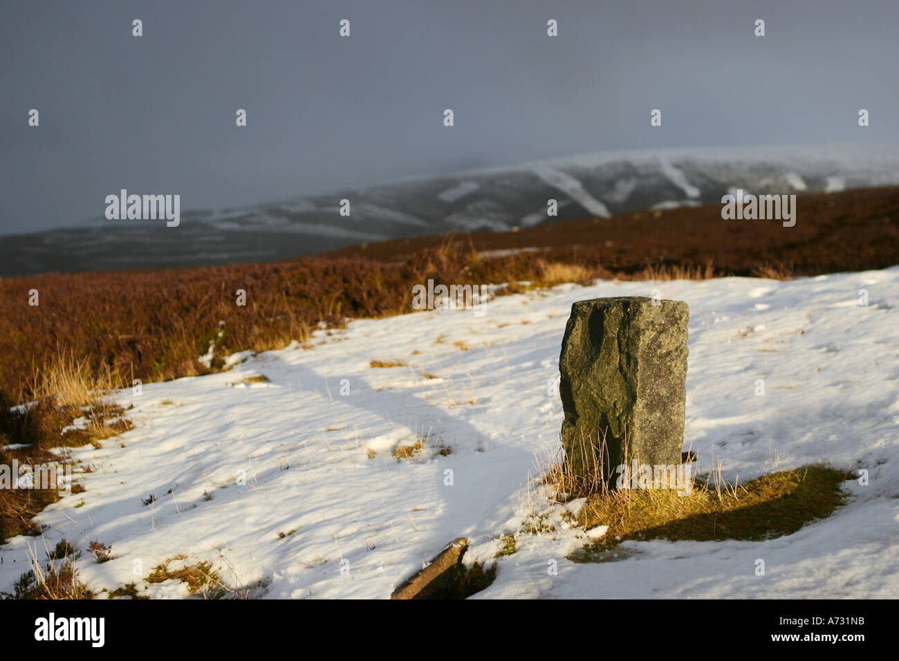 Memorial Moorland headstone on Scottish moor. " Her favorite place ...