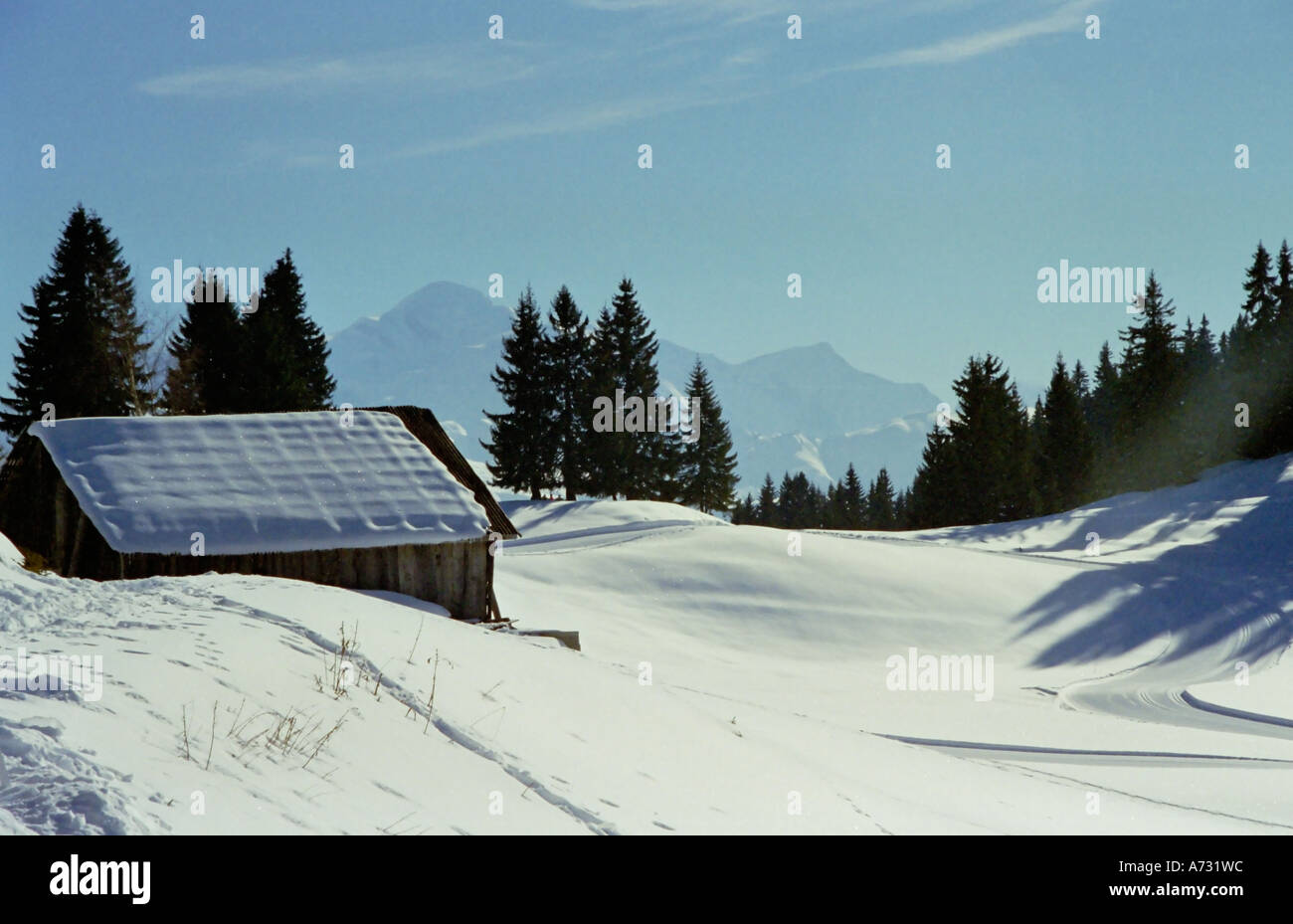 Pretty snow scene in the French Alps above Morzine Stock Photo - Alamy