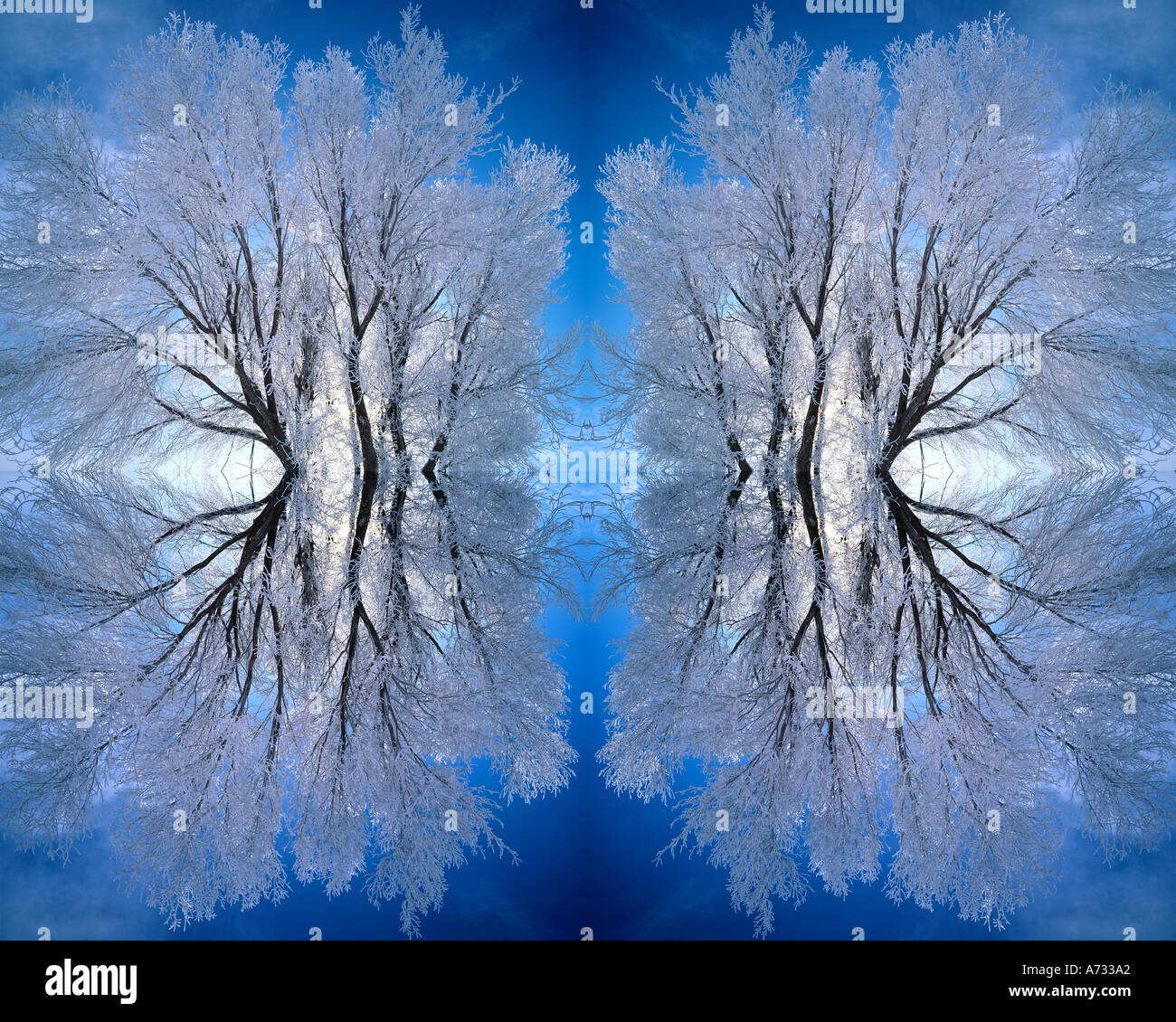 Reflection of snow hi-res stock photography and images - Alamy