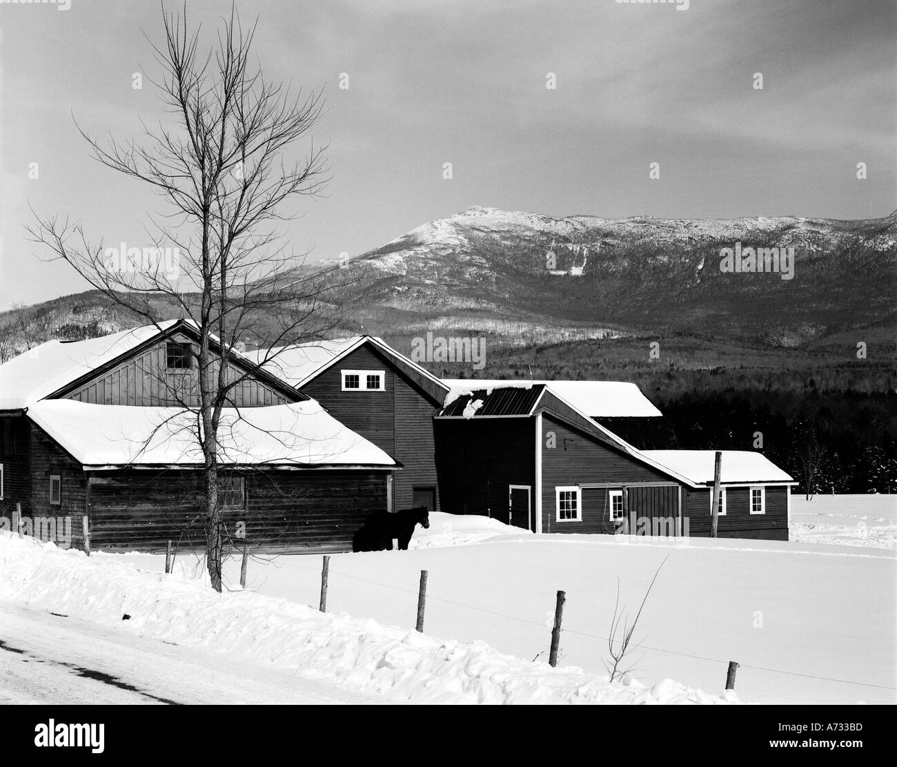 Mountain mansfield vermont snow hi-res stock photography and images - Alamy