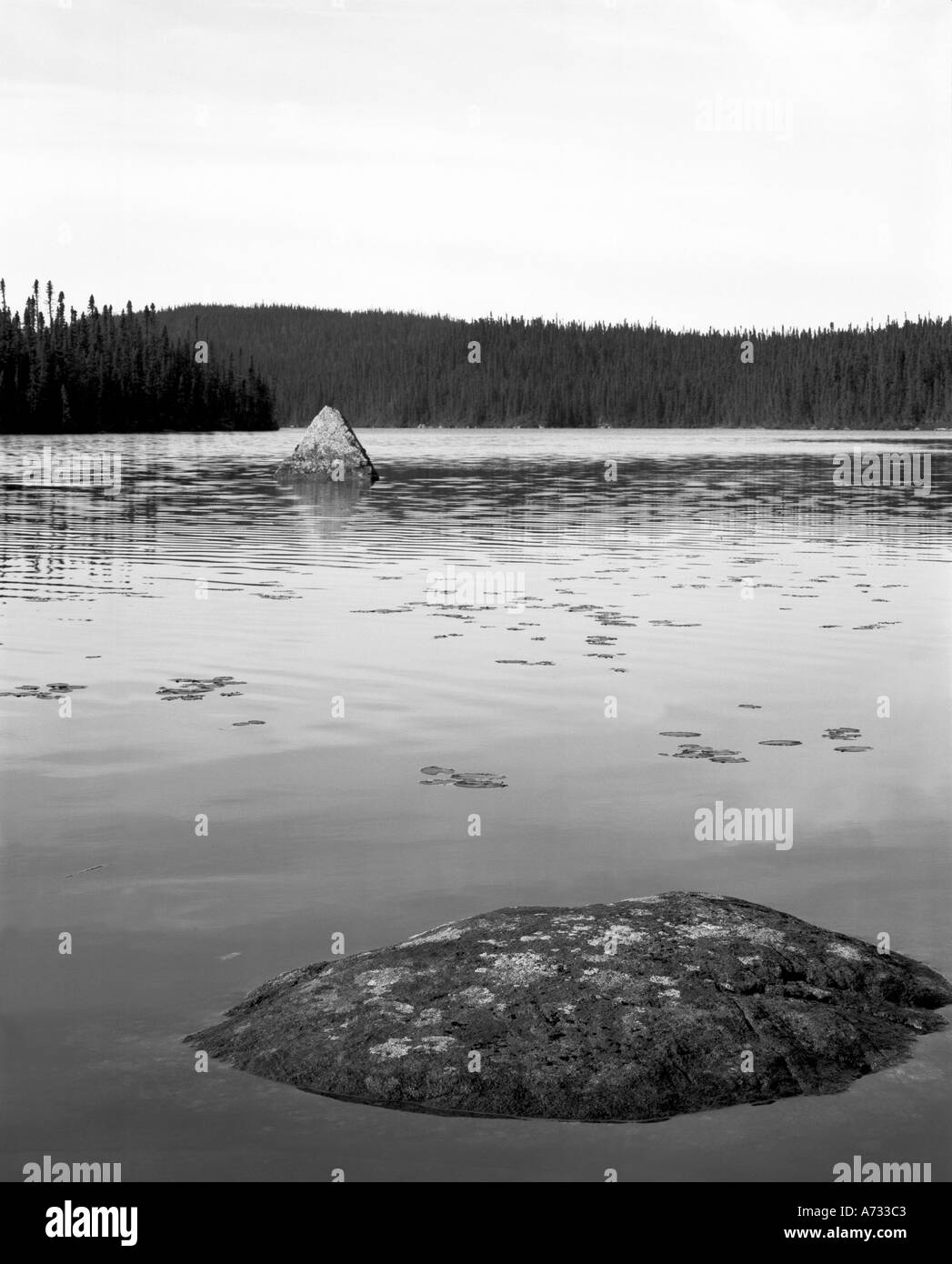 Formation of lichen Black and White Stock Photos & Images - Alamy