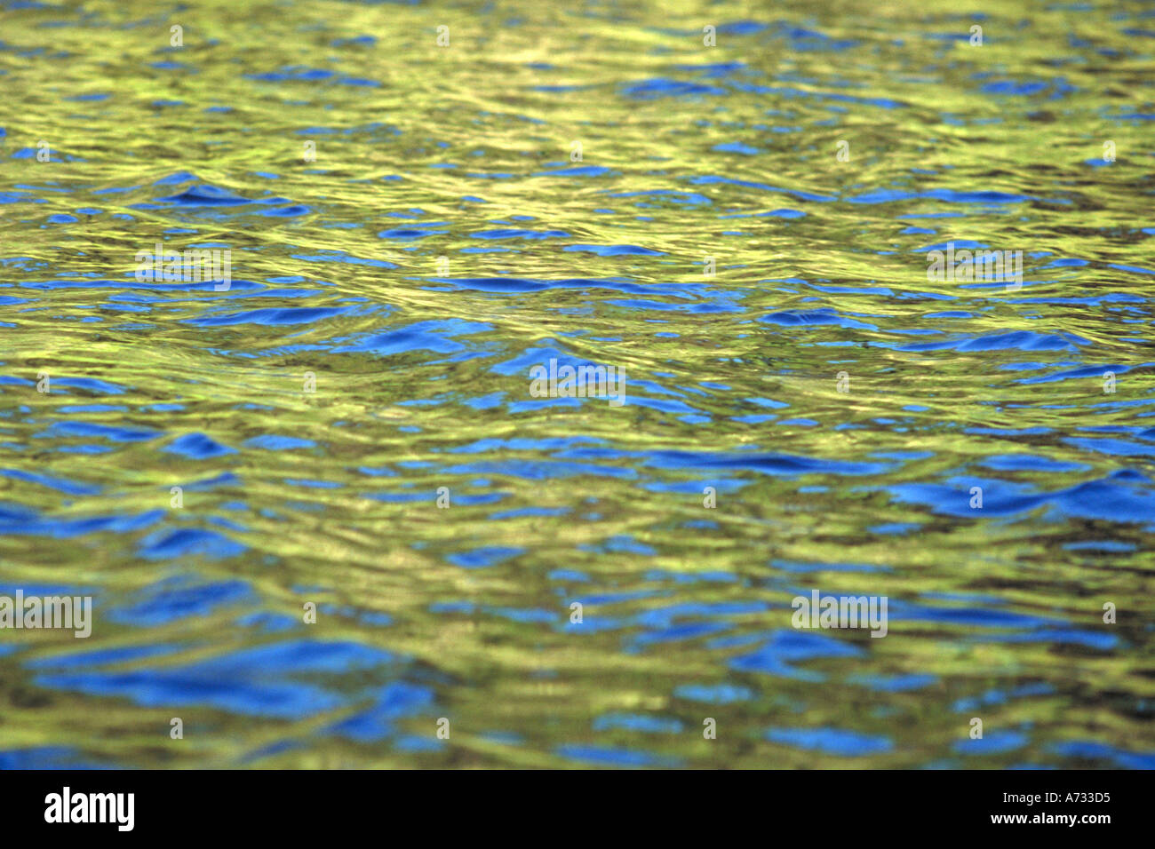 Water reflection of blue sky and black spruce forest Quebec Canada ...
