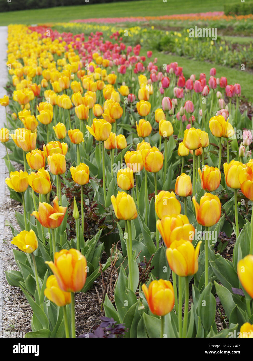 BUGA 2005, Federal Garden Exhibition 2005 Munich, Bundesgartenschau ...