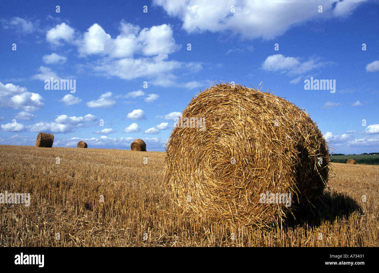 Hail Bails rural landscape Isle of Wight England Stock Photo - Alamy