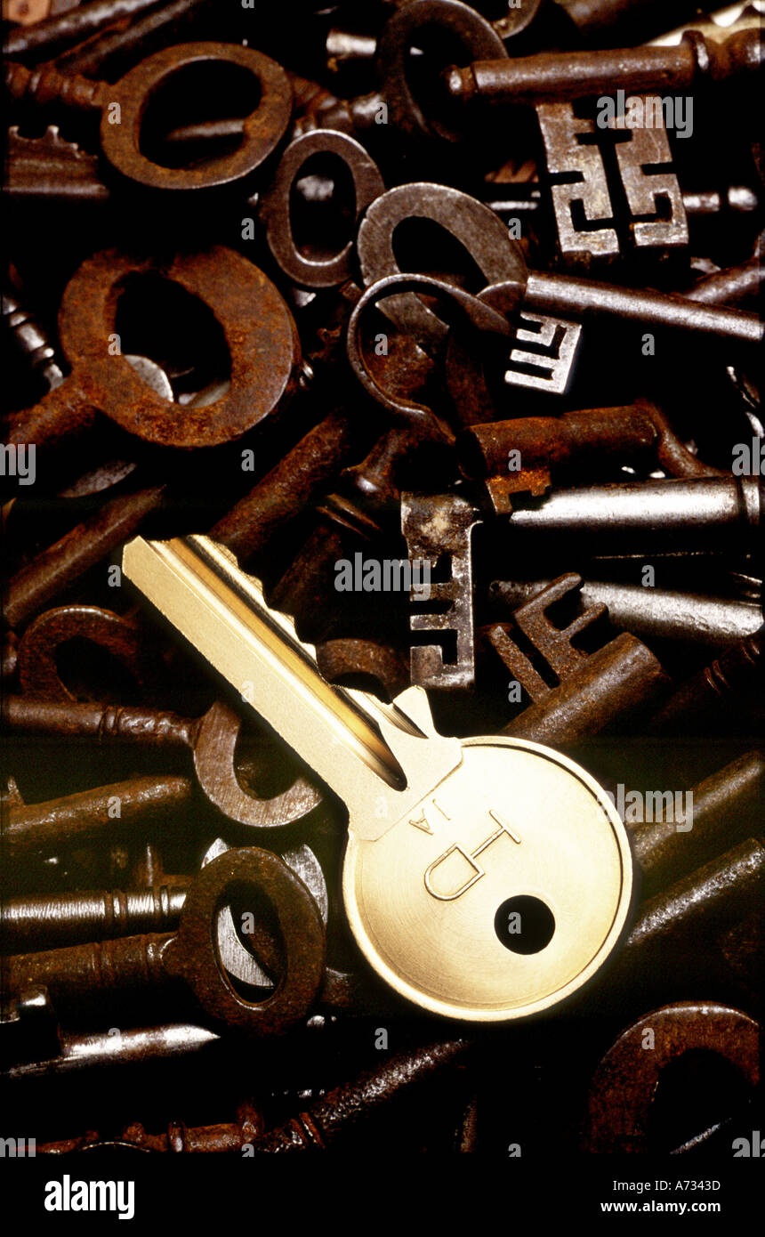 shiny,brand,new,key,on,top,of,old,rusty,old,keys, Estate Agent, Rental ...