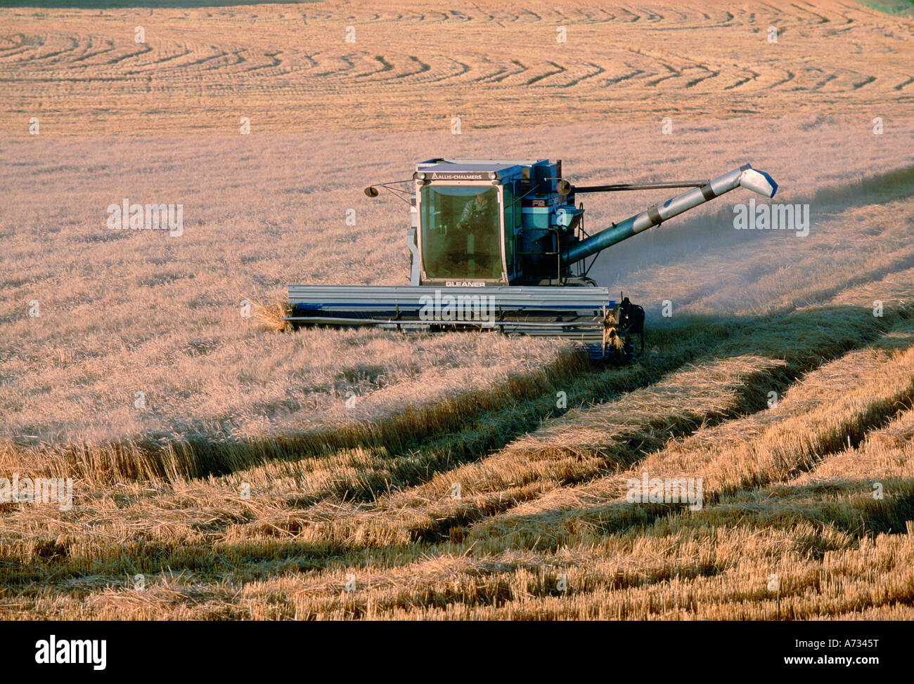 Combine at work Stock Photo - Alamy
