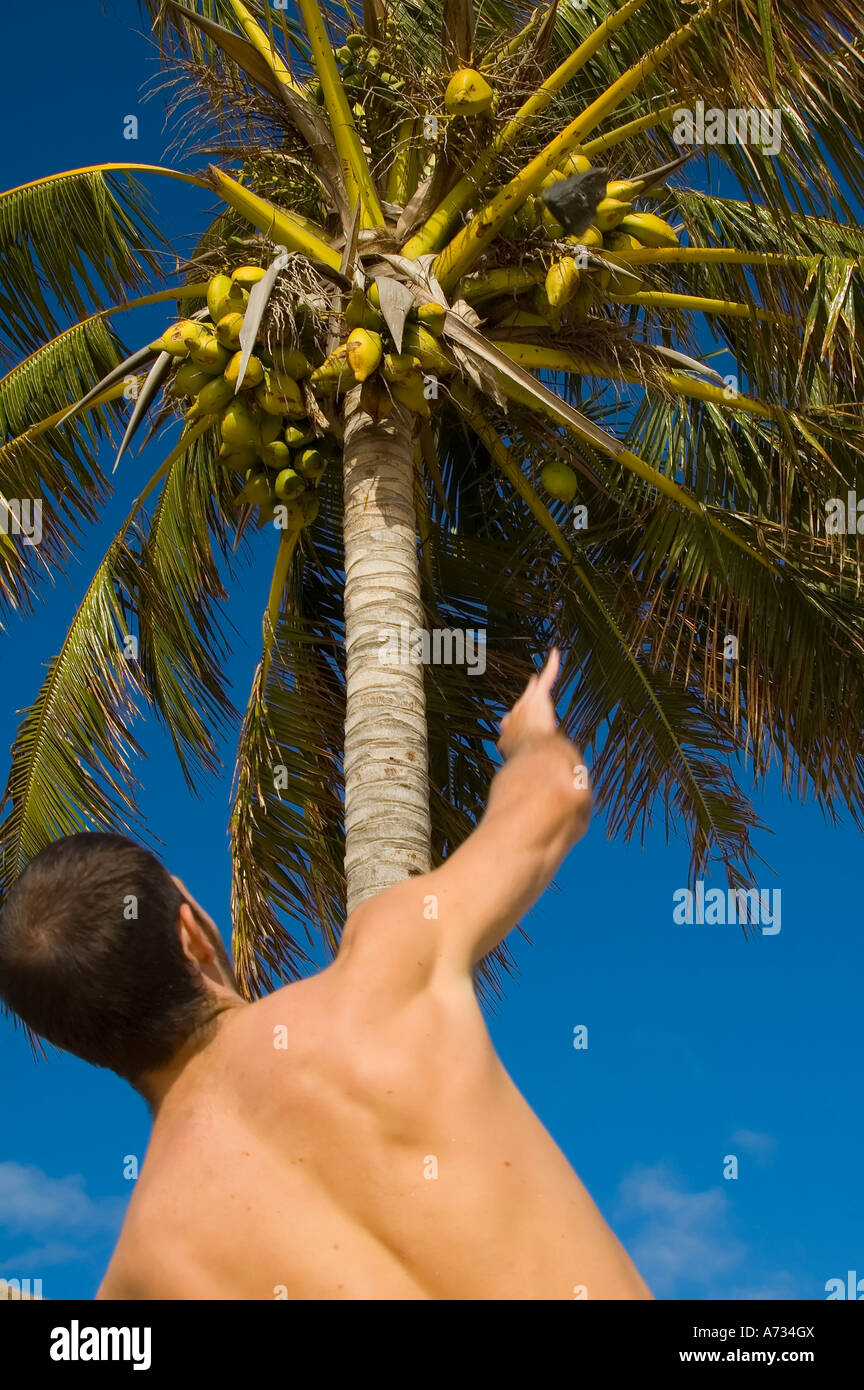Throwing coconuts hi-res stock photography and images - Alamy