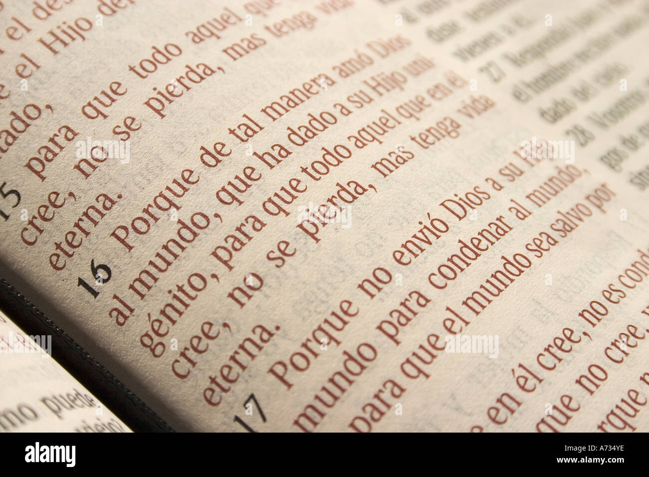 Close up pages bible in hi-res stock photography and images - Alamy