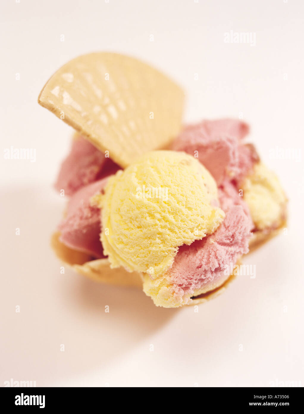 Wafer biscuit fan hi-res stock photography and images - Alamy