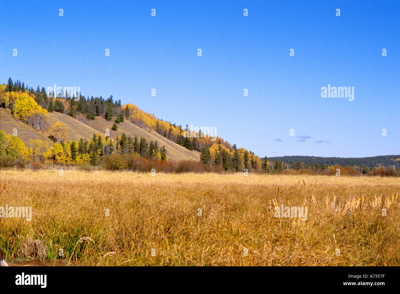 South cariboo hi-res stock photography and images - Alamy
