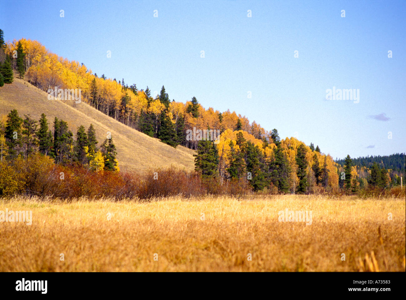 South Cariboo High Resolution Stock Photography and Images - Alamy
