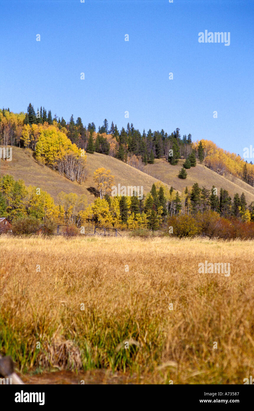 South cariboo hi-res stock photography and images - Alamy