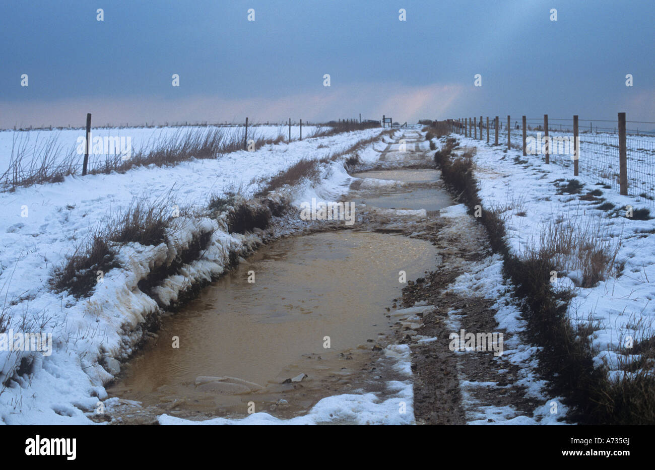 The Ridgeway winter scene Stock Photo - Alamy