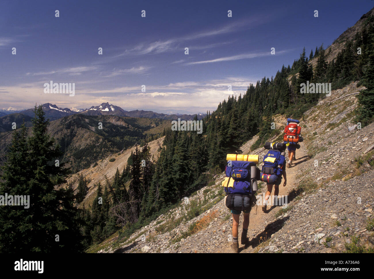 Pct washington hi-res stock photography and images - Alamy