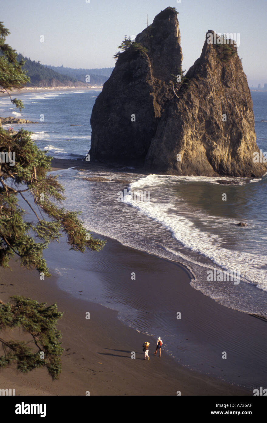 Rock formations on beach washington hi-res stock photography and images ...