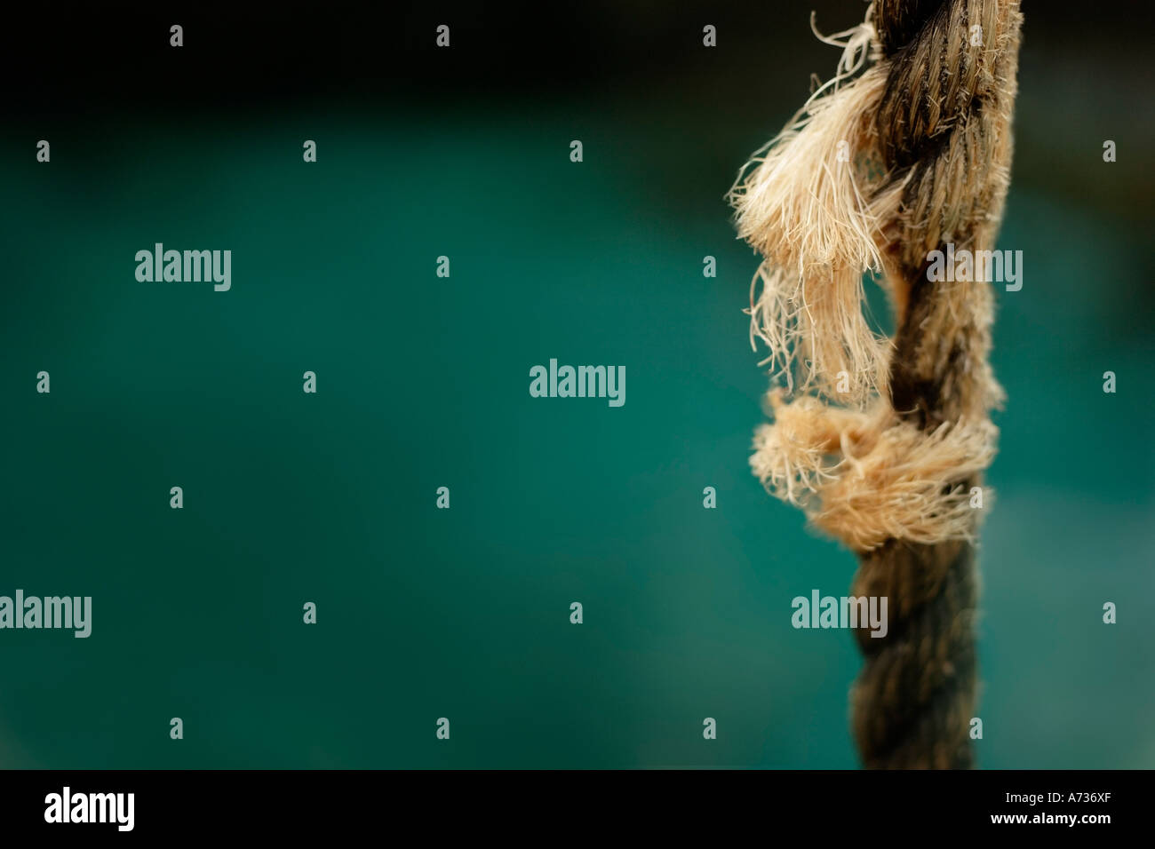 Ripping rope hi-res stock photography and images - Alamy