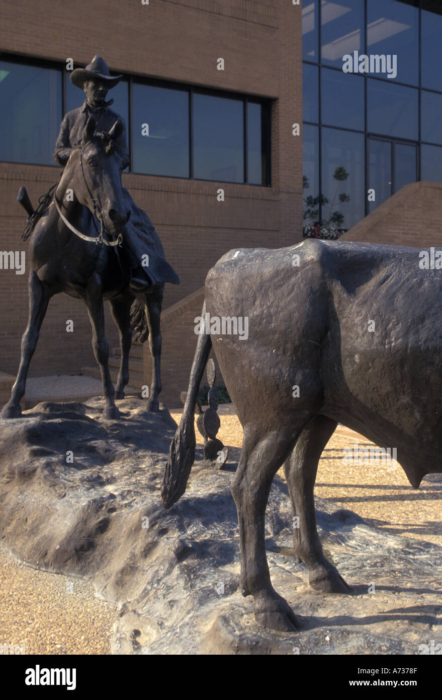 Fort worth cattle museum hi-res stock photography and images - Alamy