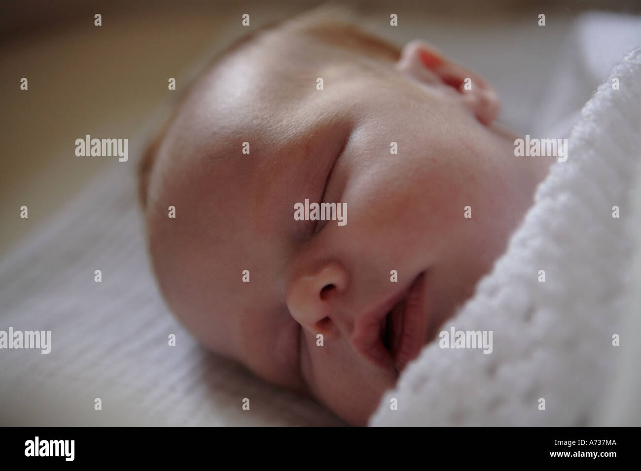 The face of a new born baby Stock Photo - Alamy
