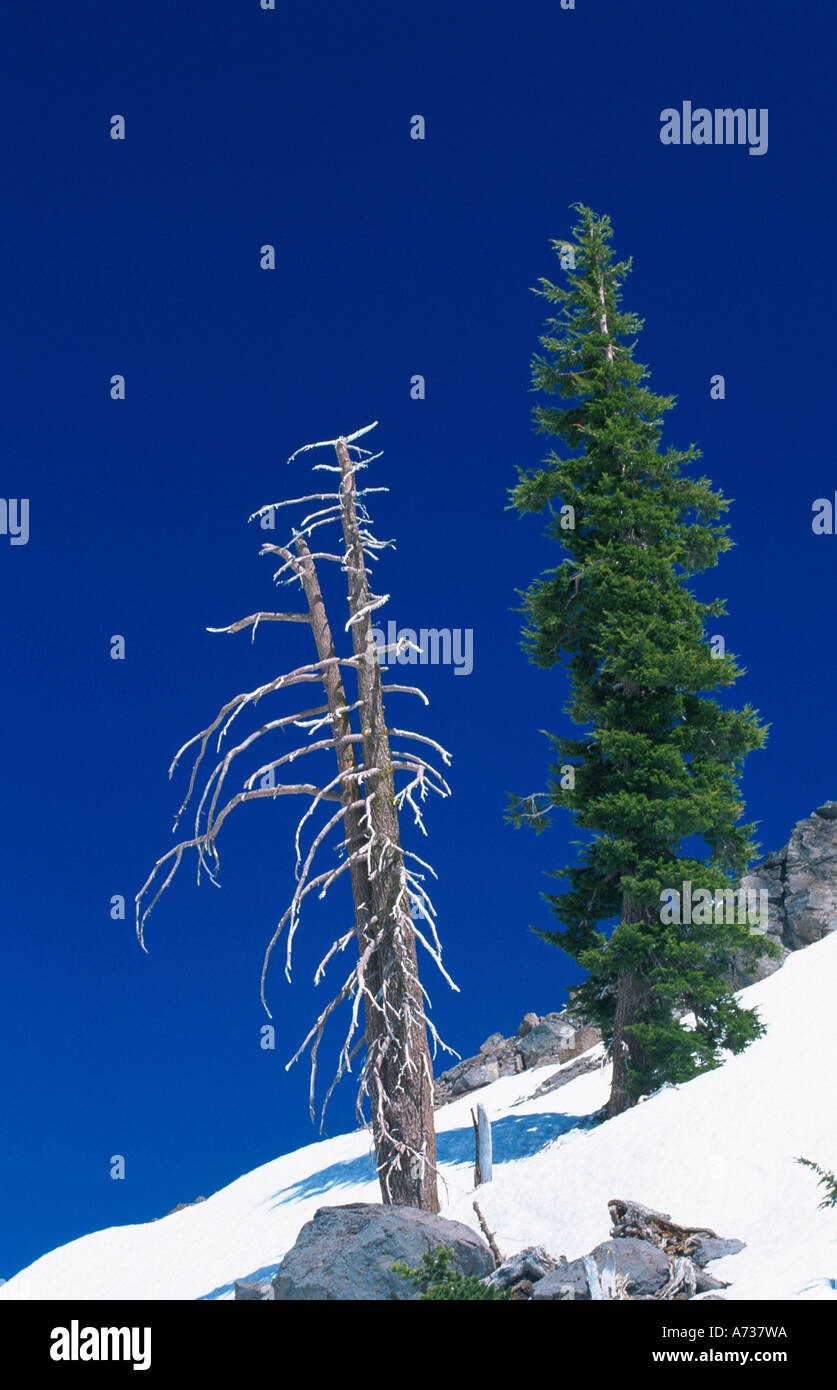 High spec hi-res stock photography and images - Alamy