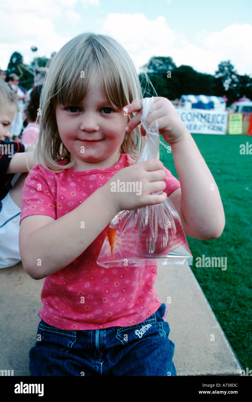 Prize goldfish hi-res stock photography and images - Alamy