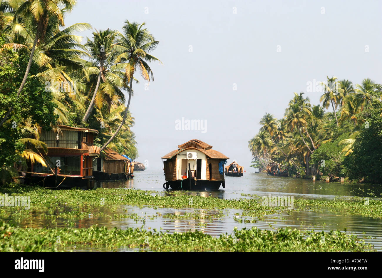 Tourist Houseboats on the Kerala Backwaters Stock Photo - Alamy