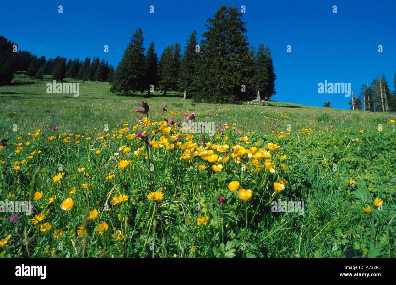 Ruhpolding bavaria germany europe High Resolution Stock Photography and ...