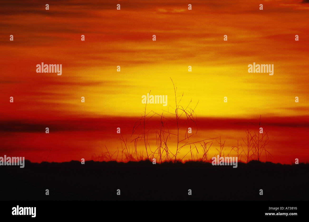 Impressive layout hi-res stock photography and images - Alamy