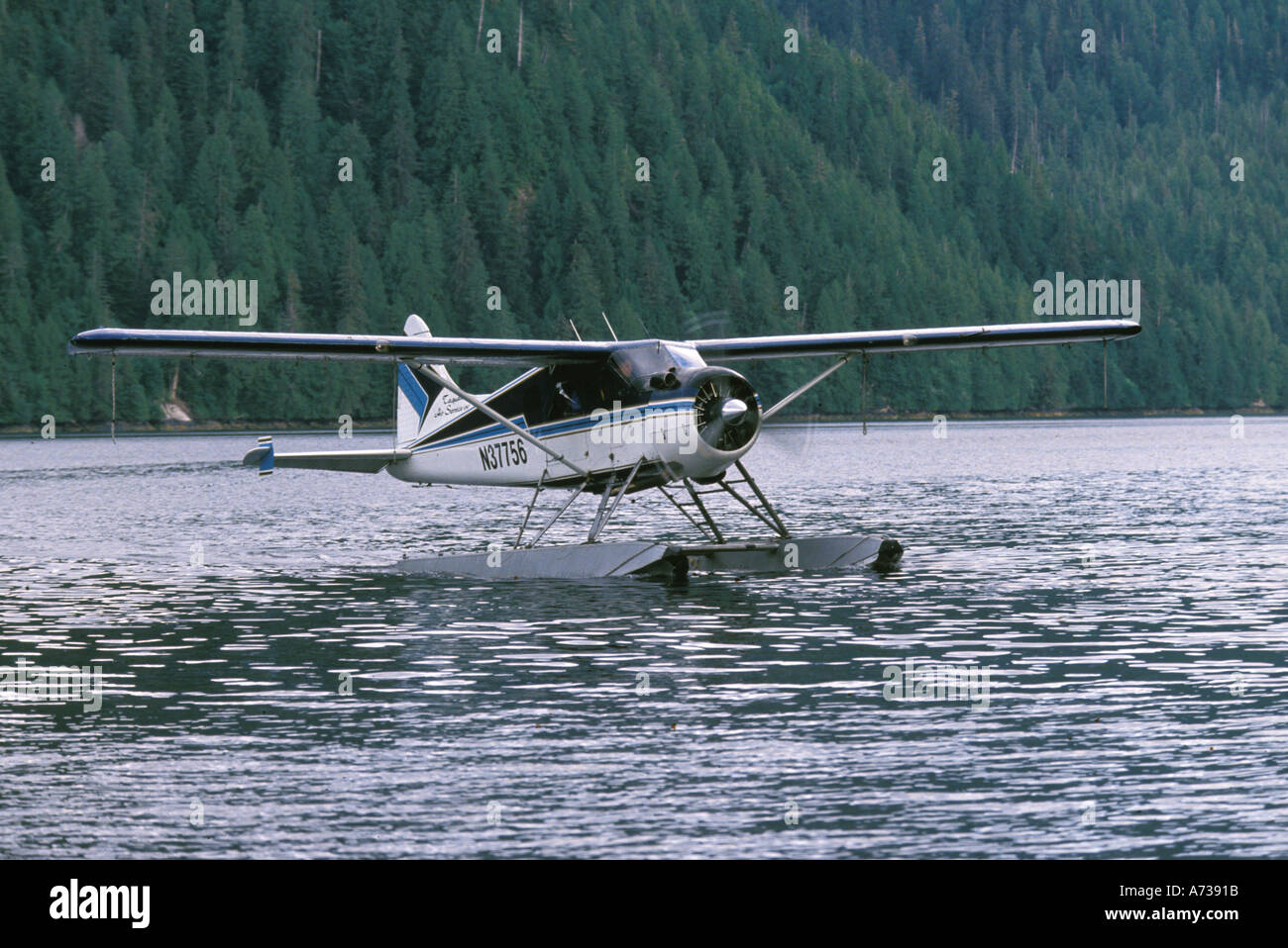 De Havilland Beaver Floatplane in Alaska USA Stock Photo - Alamy