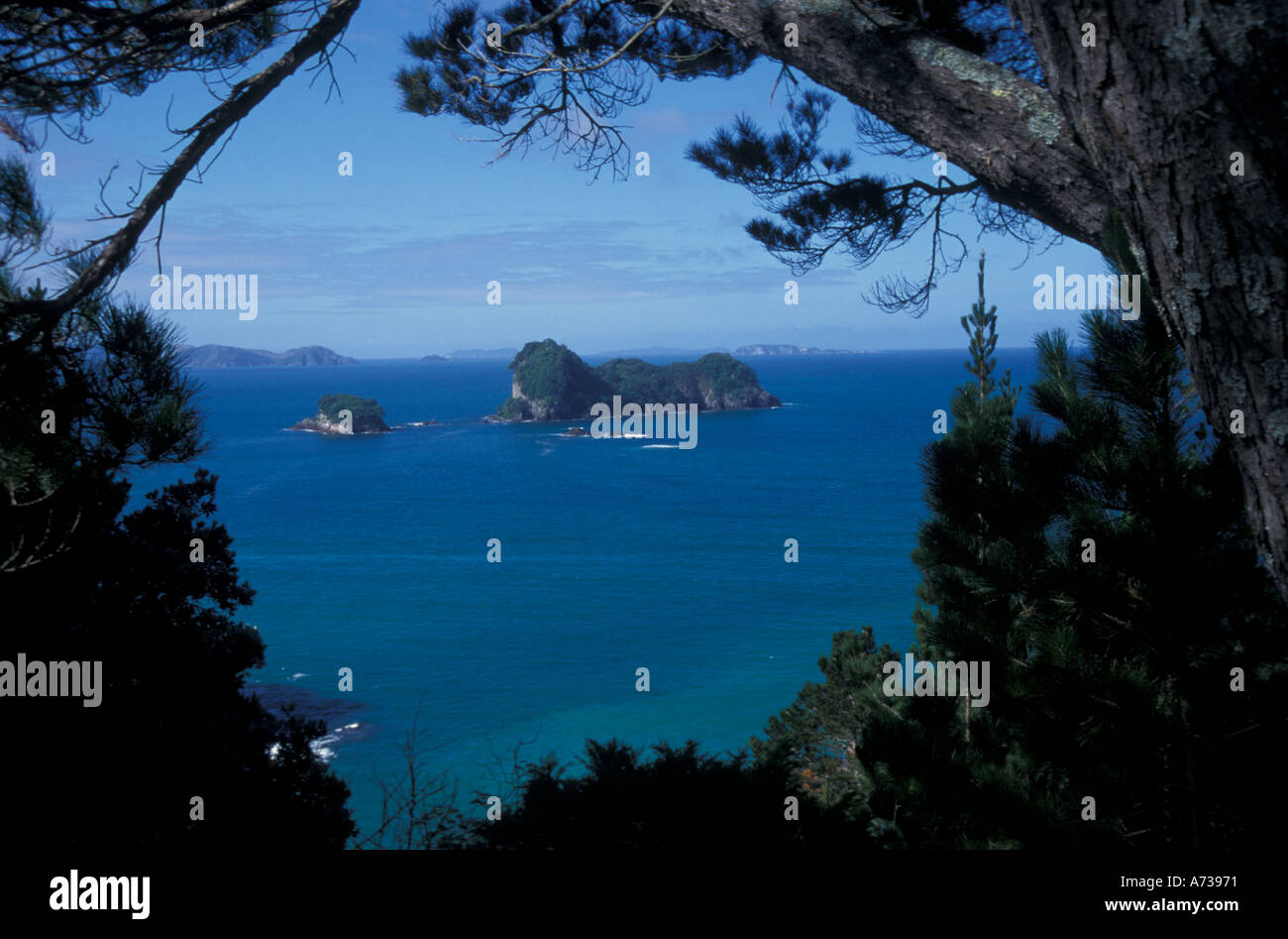 Mercury Bay Coromandel Peninsula New Zealand Stock Photo - Alamy