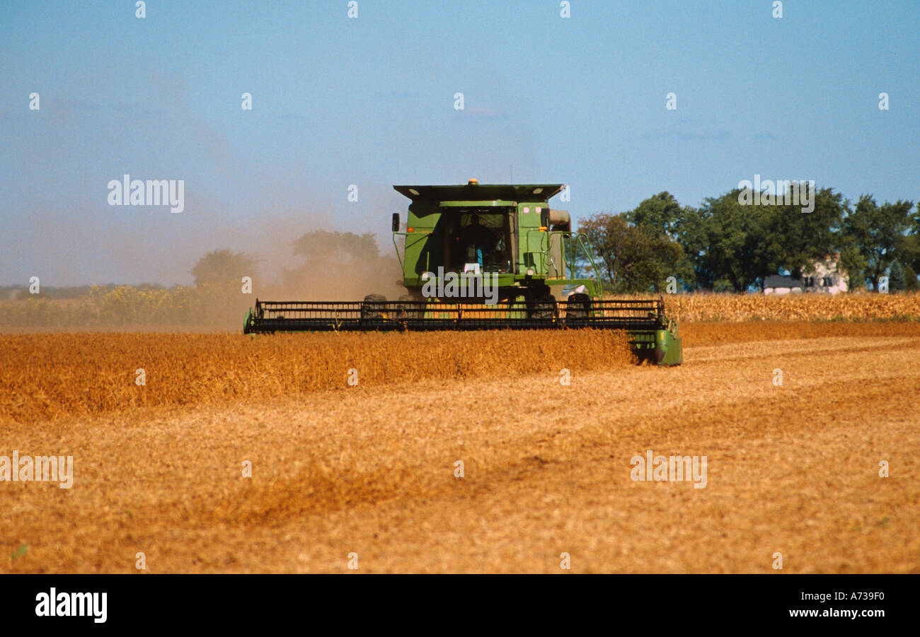 Usa illinois soybean field hi-res stock photography and images - Alamy