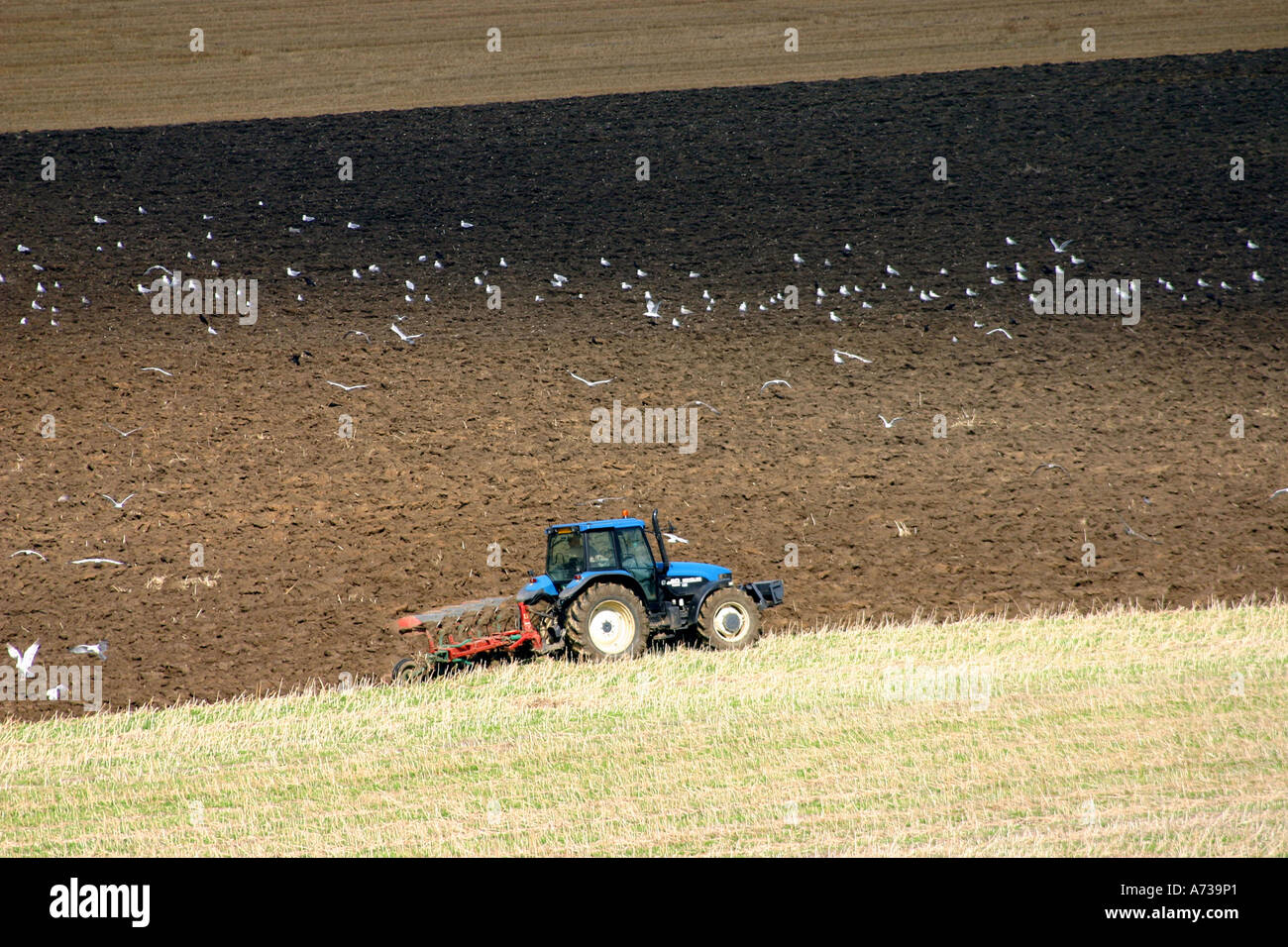 Tractor ploughing field Stock Photo - Alamy