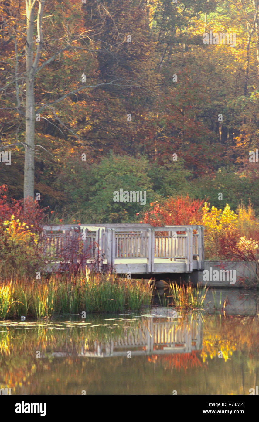 Small bridge over pond hi-res stock photography and images - Alamy