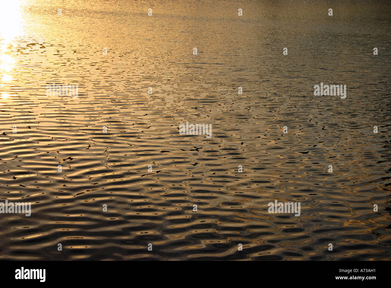 Water ripples at sunrise Stock Photo - Alamy