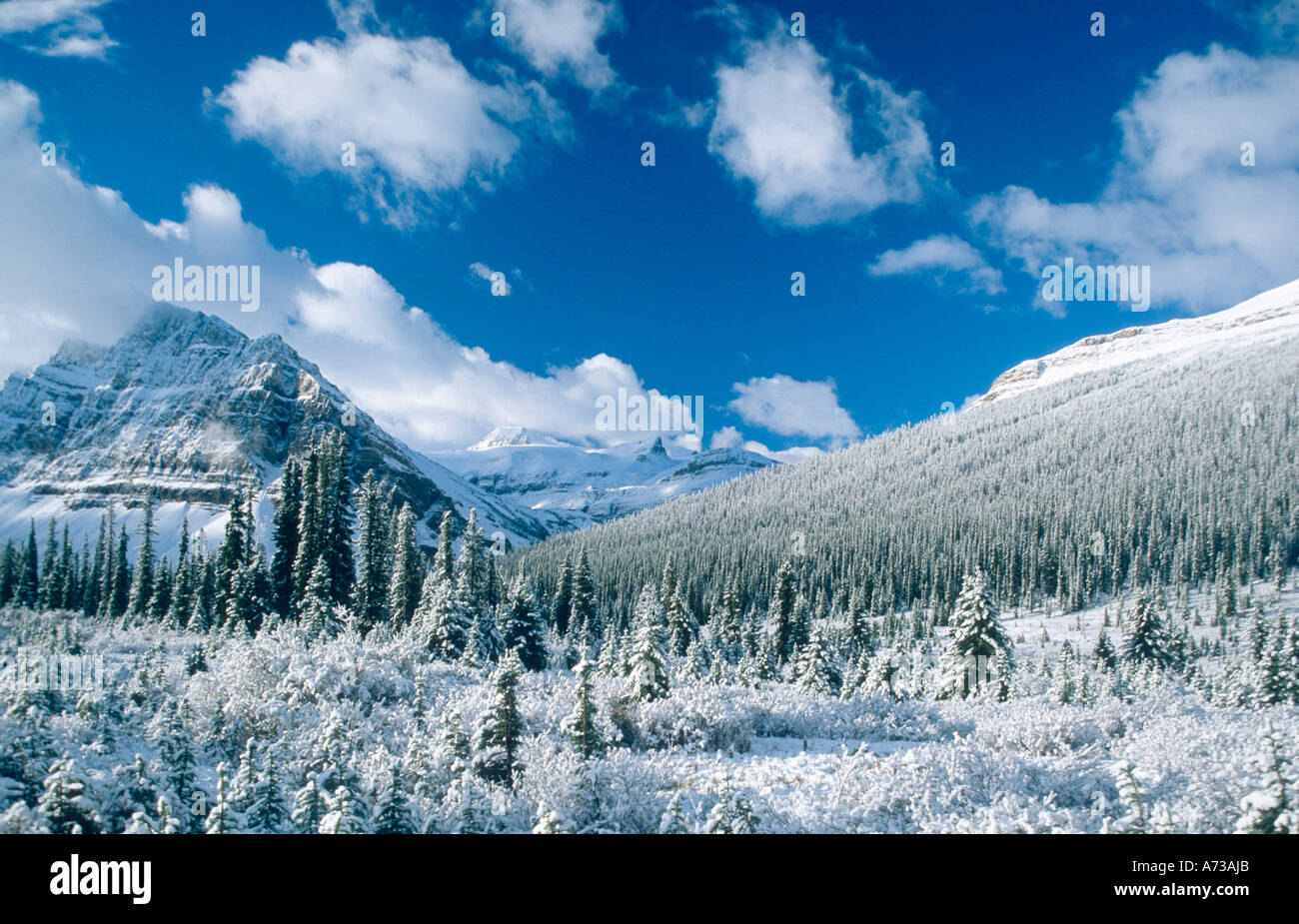 Covered bow hi-res stock photography and images - Alamy