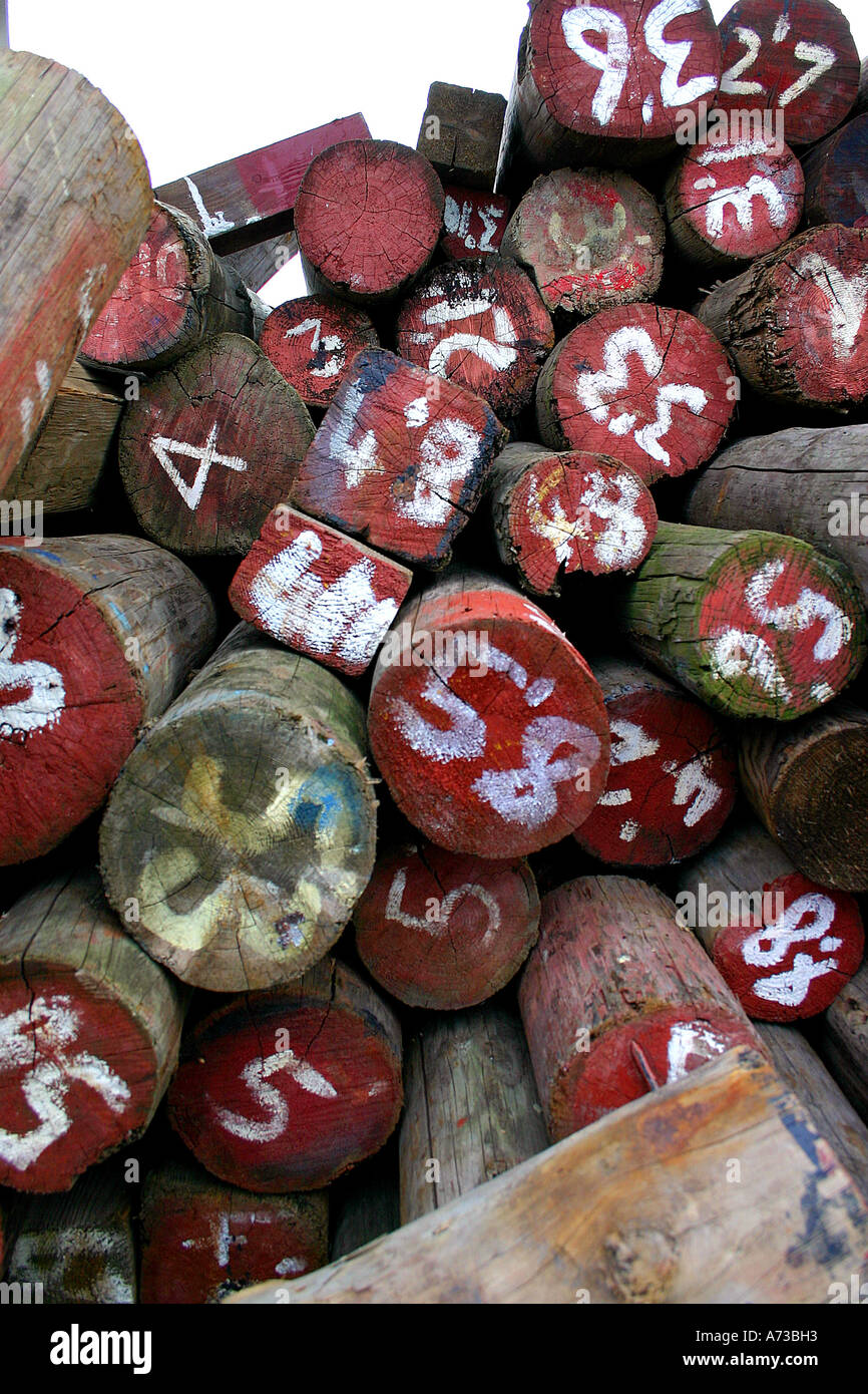 Painted logs hi-res stock photography and images - Alamy