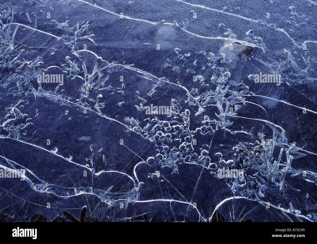 Cracked ice on a frozen marsh in Snowdonia National Park Wales Great ...