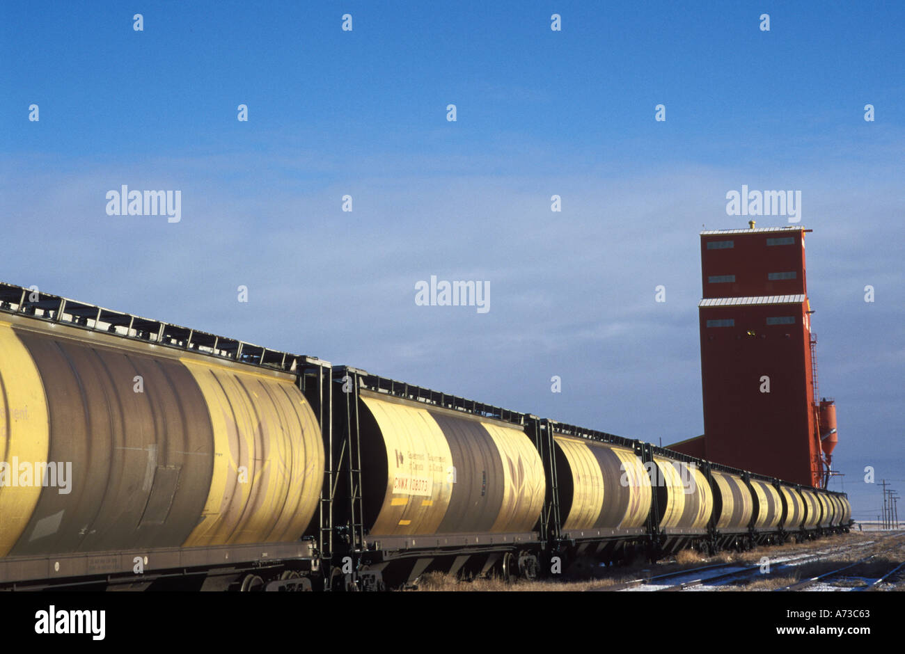 Grain train Eston Canada Stock Photo - Alamy